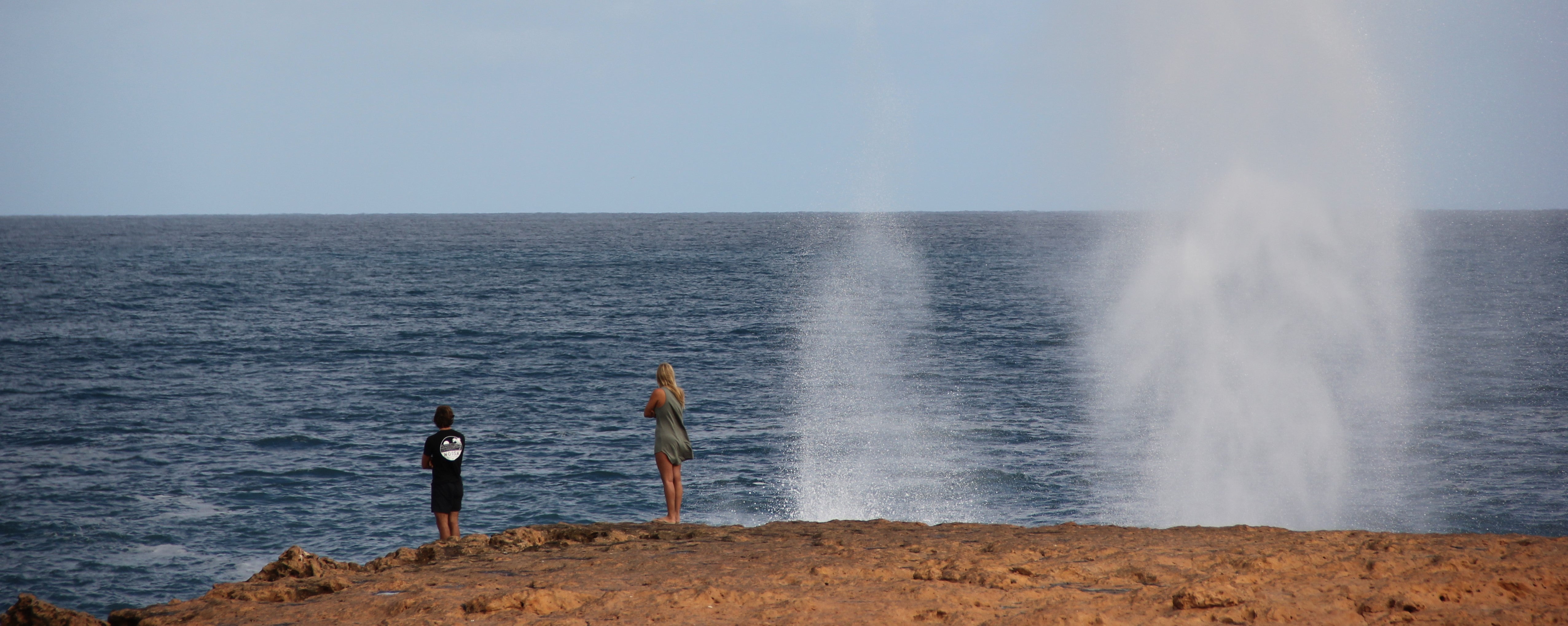 Clearance – looselabel EU